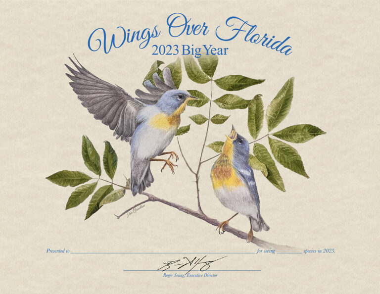 Florida Birding Trail - It's Your Road To Adventure!