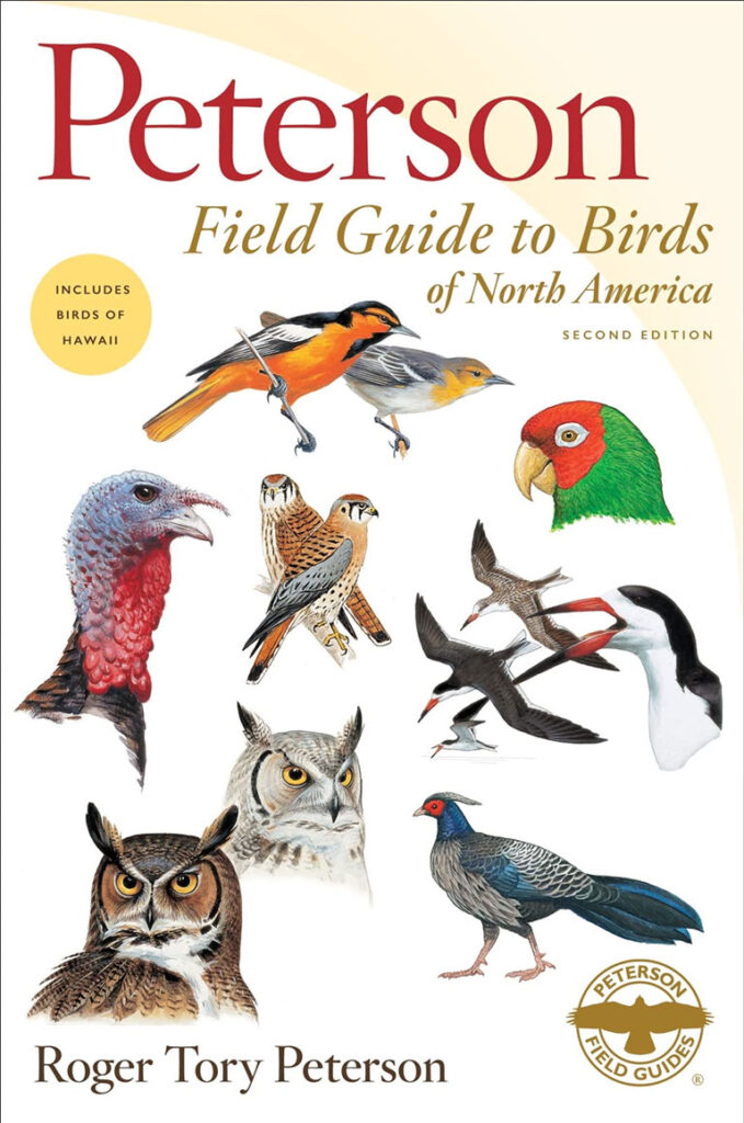 Field Guides – Florida Birding Trail